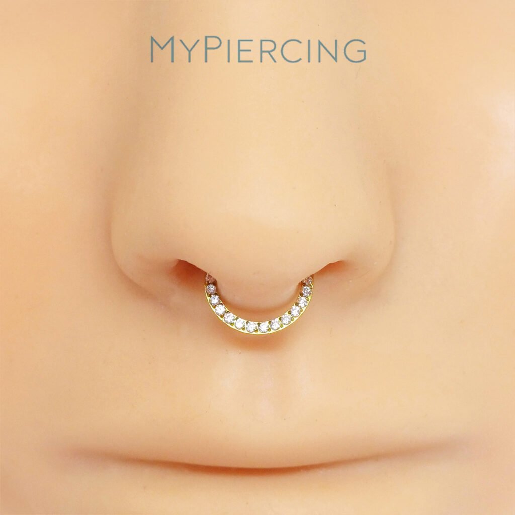 ARGOLA SLIM CZ FRONTAL AÇO (CX10) - My Piercing